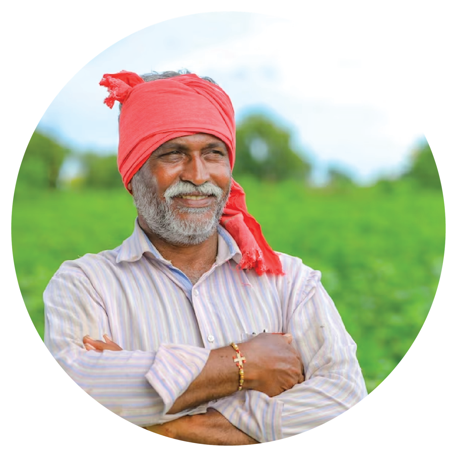 SD Agro Chemicals LTD – Over 43 Years of Experience in Crop Protection ...